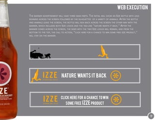 Izze Sparkling Juice | Advertising Final Project | PDF