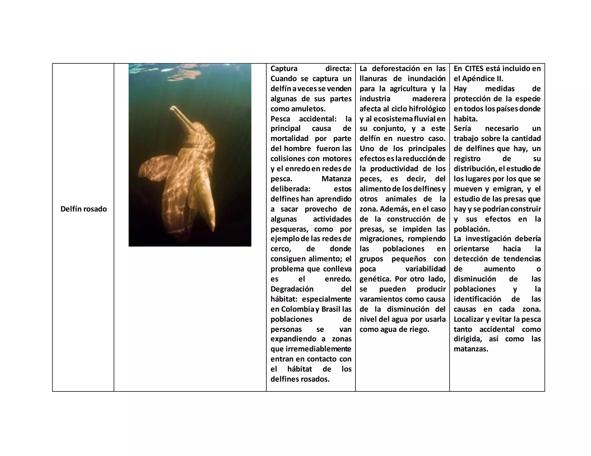 animales en peligro de extincion | DOCX