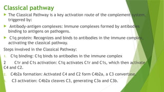complement system activation and regulation and its types | PPT