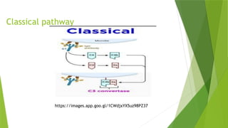 complement system activation and regulation and its types | PPTX
