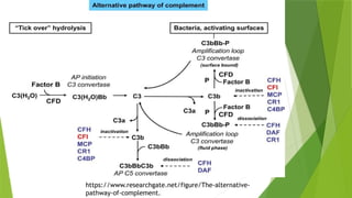 complement system activation and regulation and its types | PPT