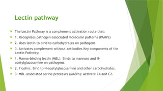 complement system activation and regulation and its types | PPT