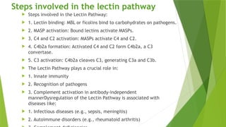 complement system activation and regulation and its types | PPTX