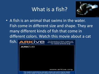 Fish | PPTX