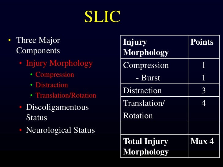 J. eisler 1.8.11 presentation