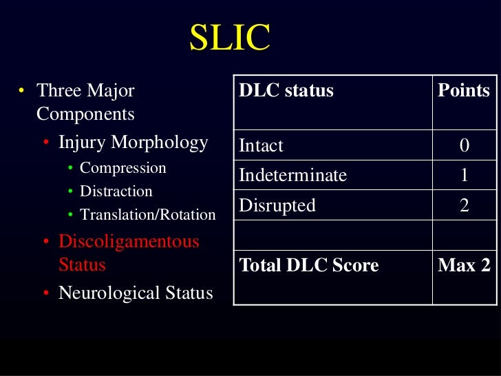 J. eisler 1.8.11 presentation