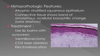 j - Epithelial Pathology.pptx