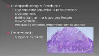 j - Epithelial Pathology.pptx