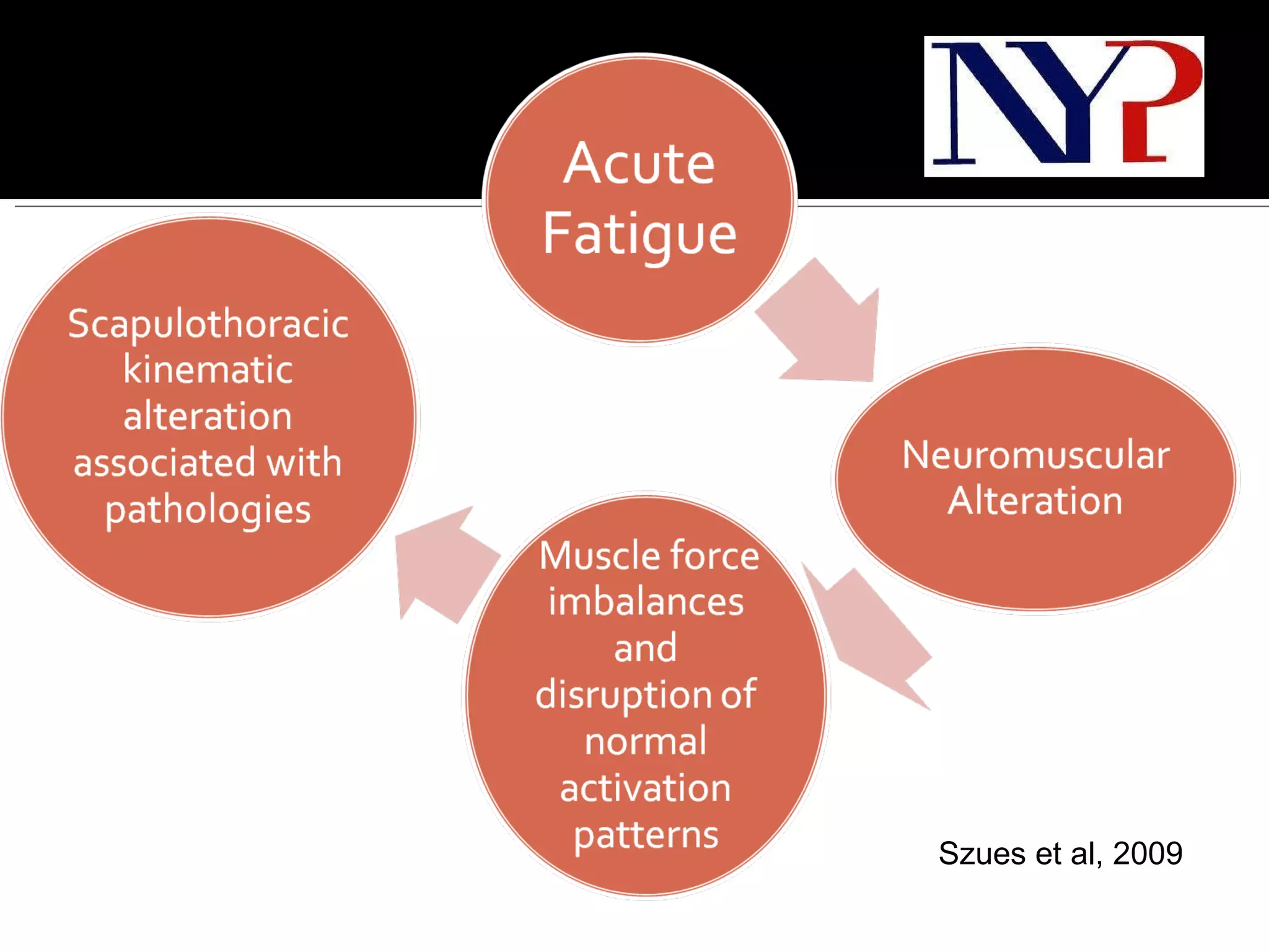 Shoulder Muscle Activity of Badminton players in an overhead smash. A ...