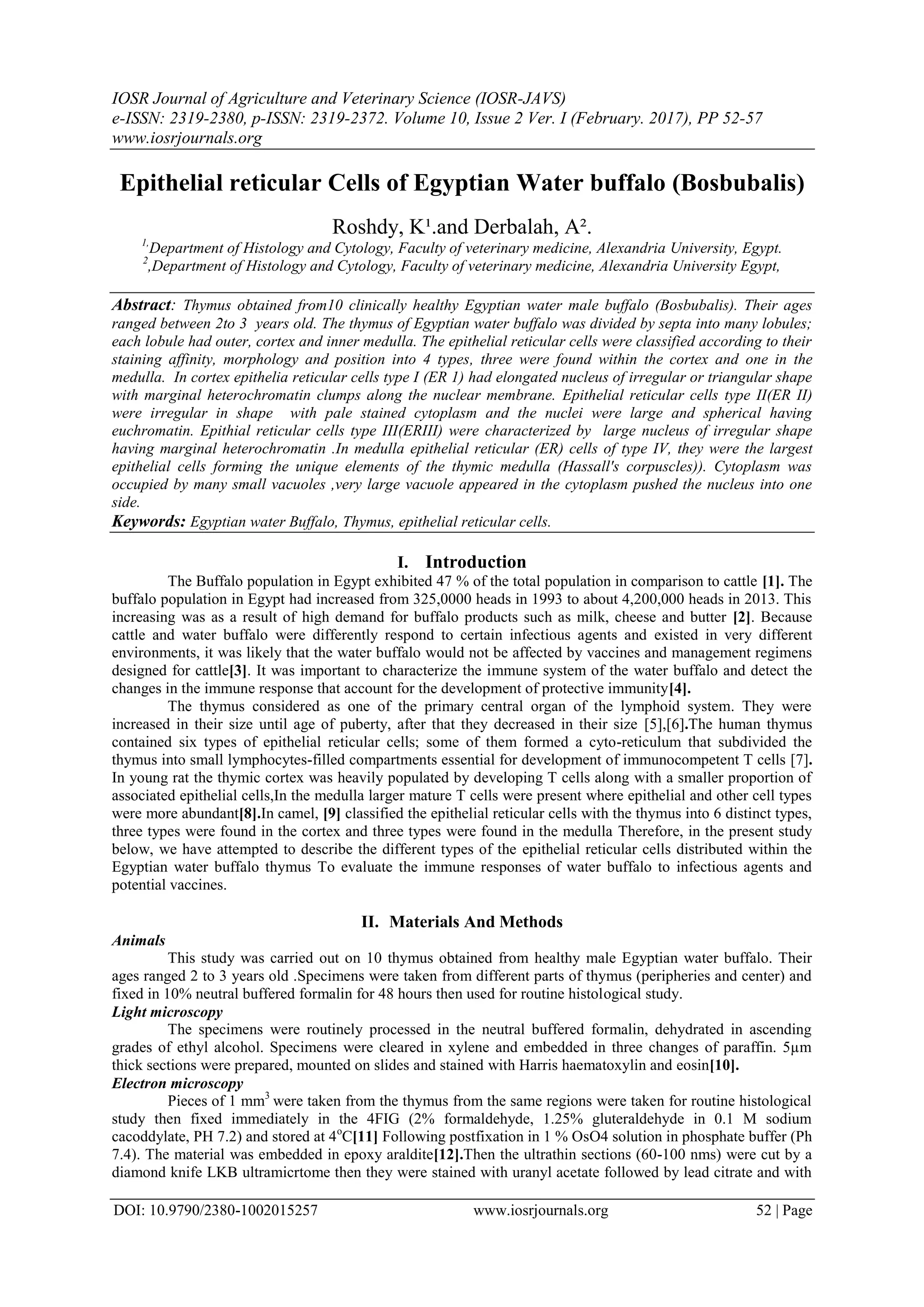 Epithelial reticular Cells of Egyptian Water buffalo (Bosbubalis) | PDF