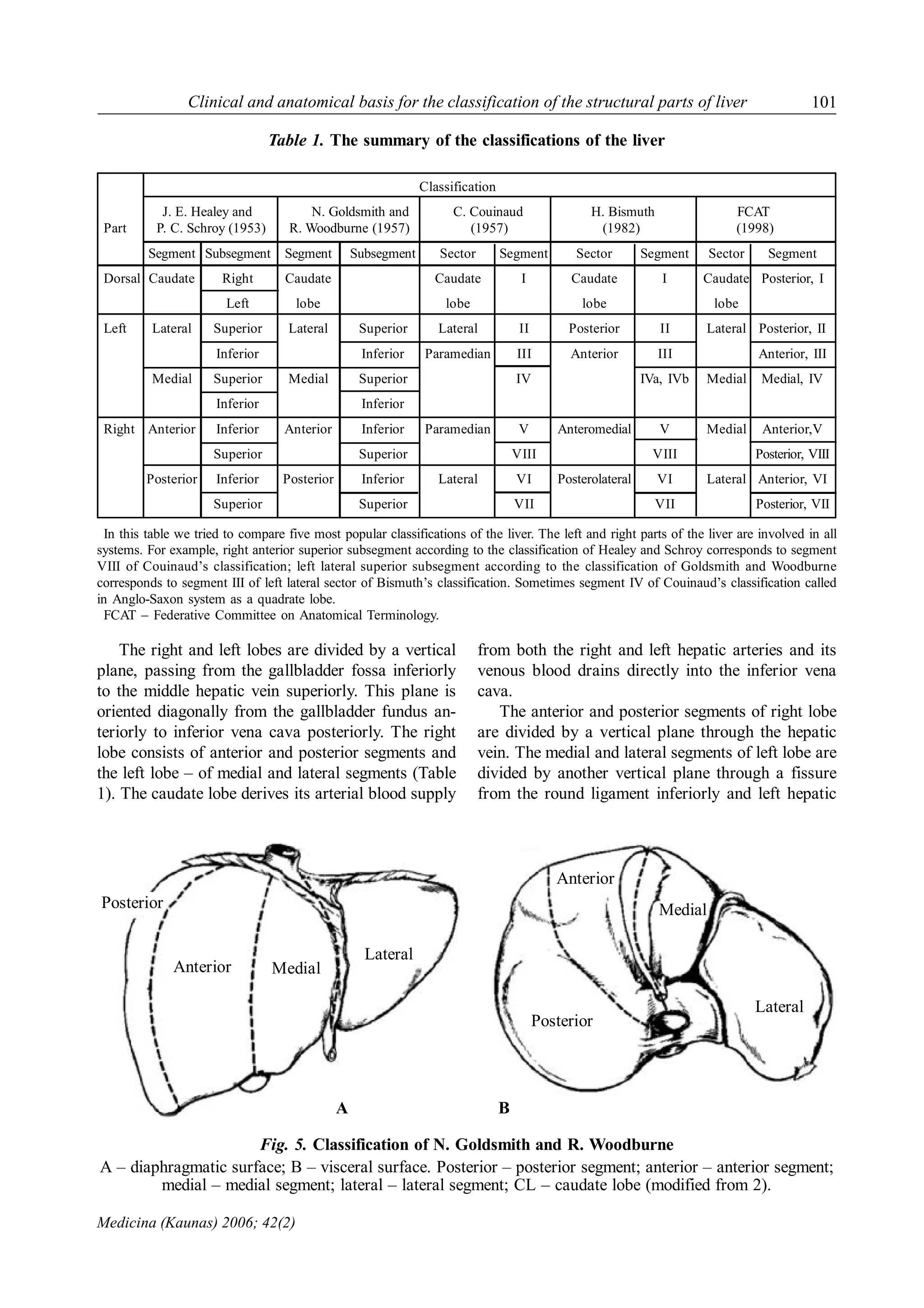 Clinical_and_anatomical_basis_for_the_classification.pdf