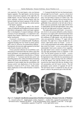 Clinical_and_anatomical_basis_for_the_classification.pdf