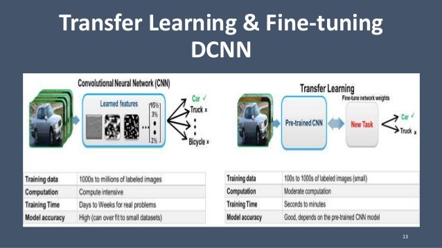 Transfer Learning and Fine-tuning Deep Neural Networks