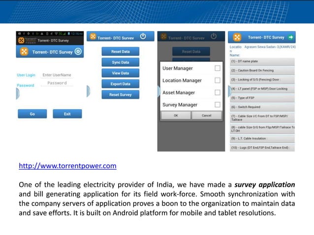D'selva Infotech Capabilities | PPSX