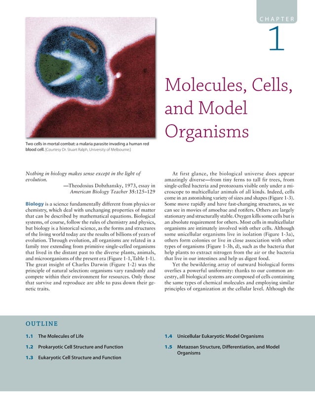 Molecular_Cell_Biology_Lodish_8th_Edition.pdf