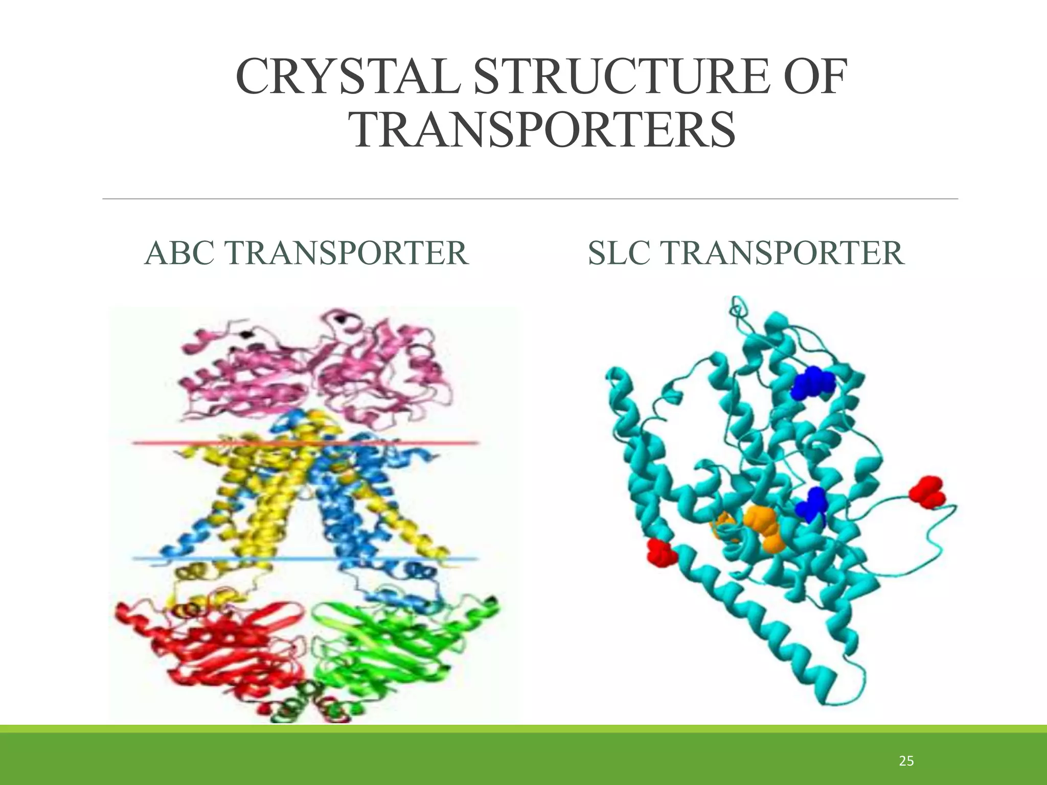 Membrane transporters | PPTX