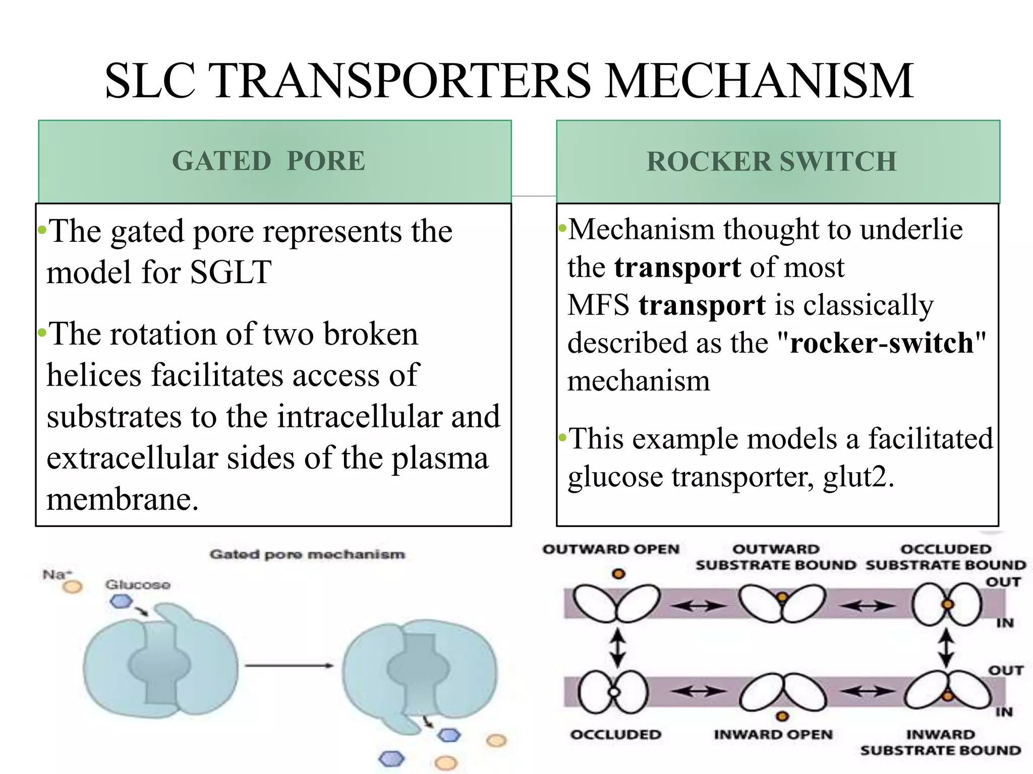 Membrane transporters | PPTX