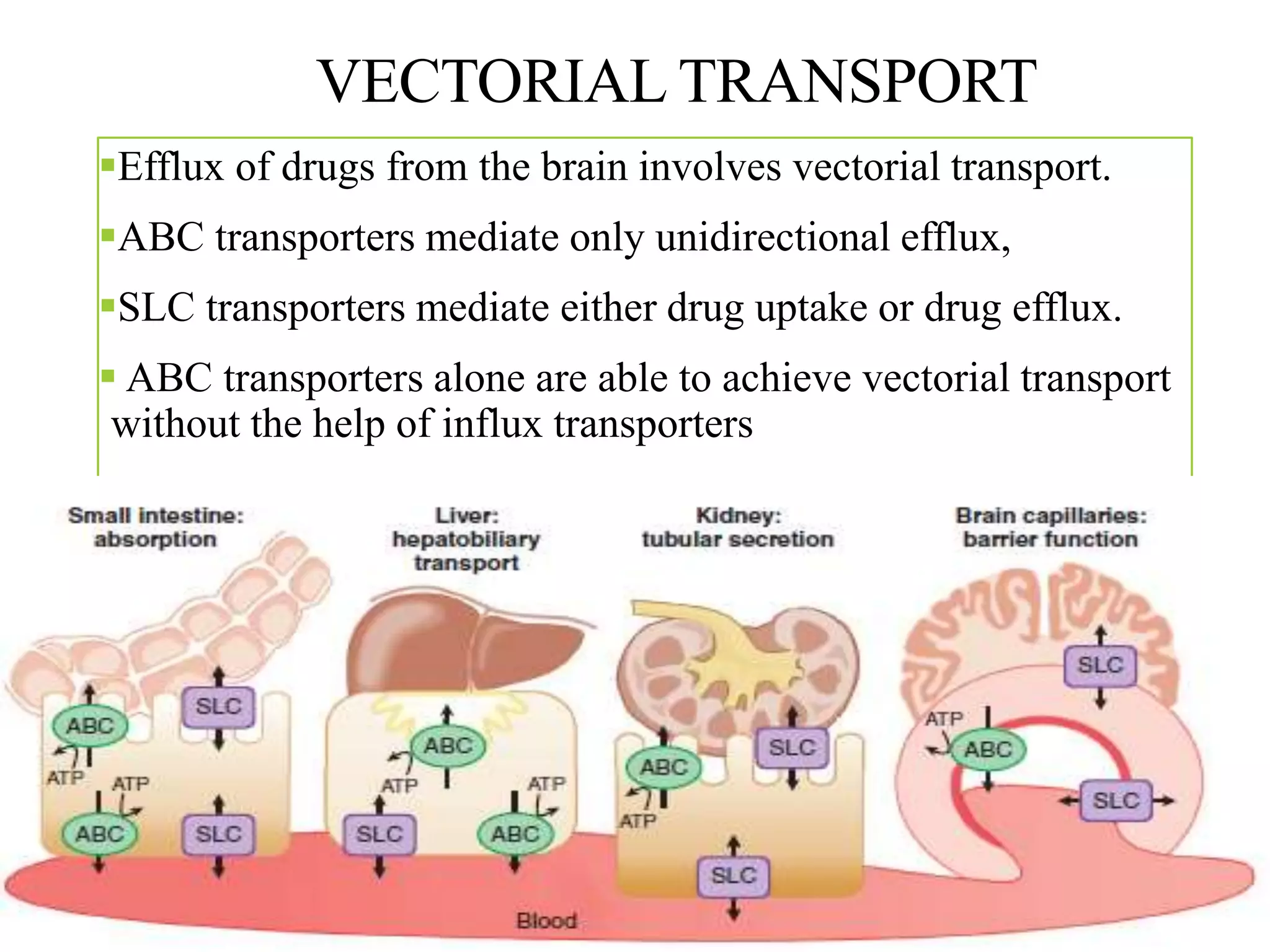 Membrane transporters | PPTX