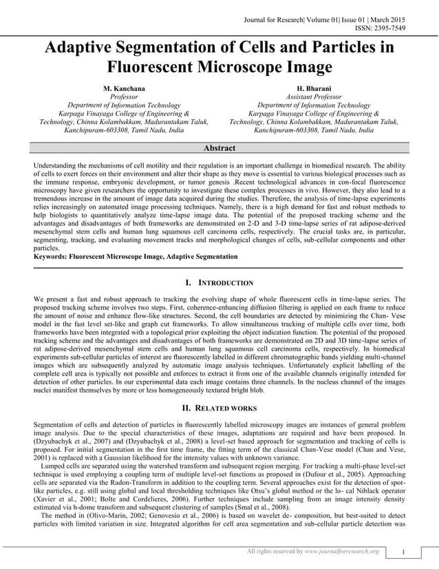 ADAPTIVE SEGMENTATION OF CELLS AND PARTICLES IN FLUORESCENT MICROSCOPE IMAGE | PDF