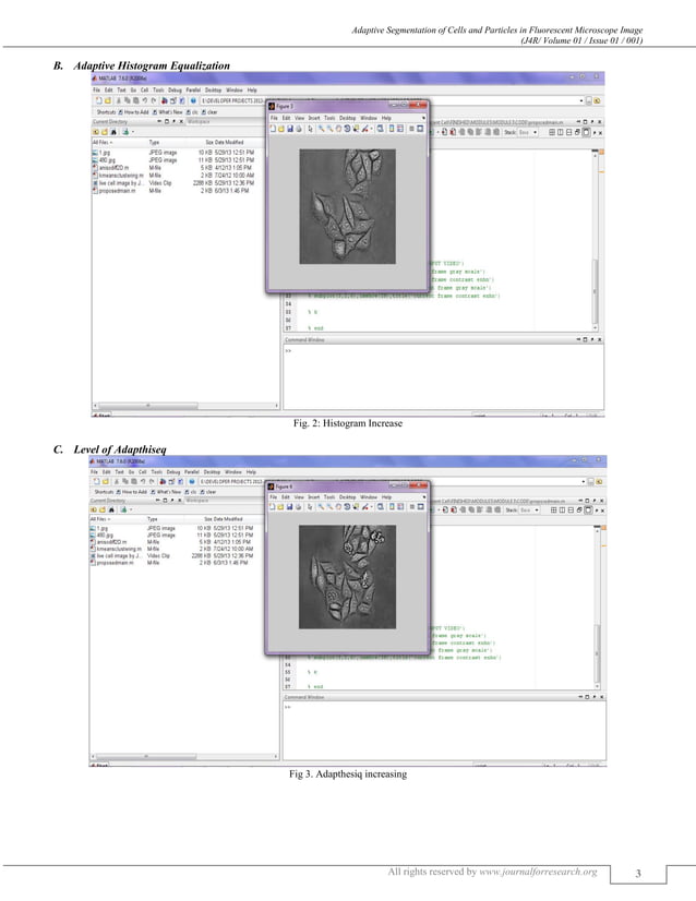 ADAPTIVE SEGMENTATION OF CELLS AND PARTICLES IN FLUORESCENT MICROSCOPE IMAGE | PDF