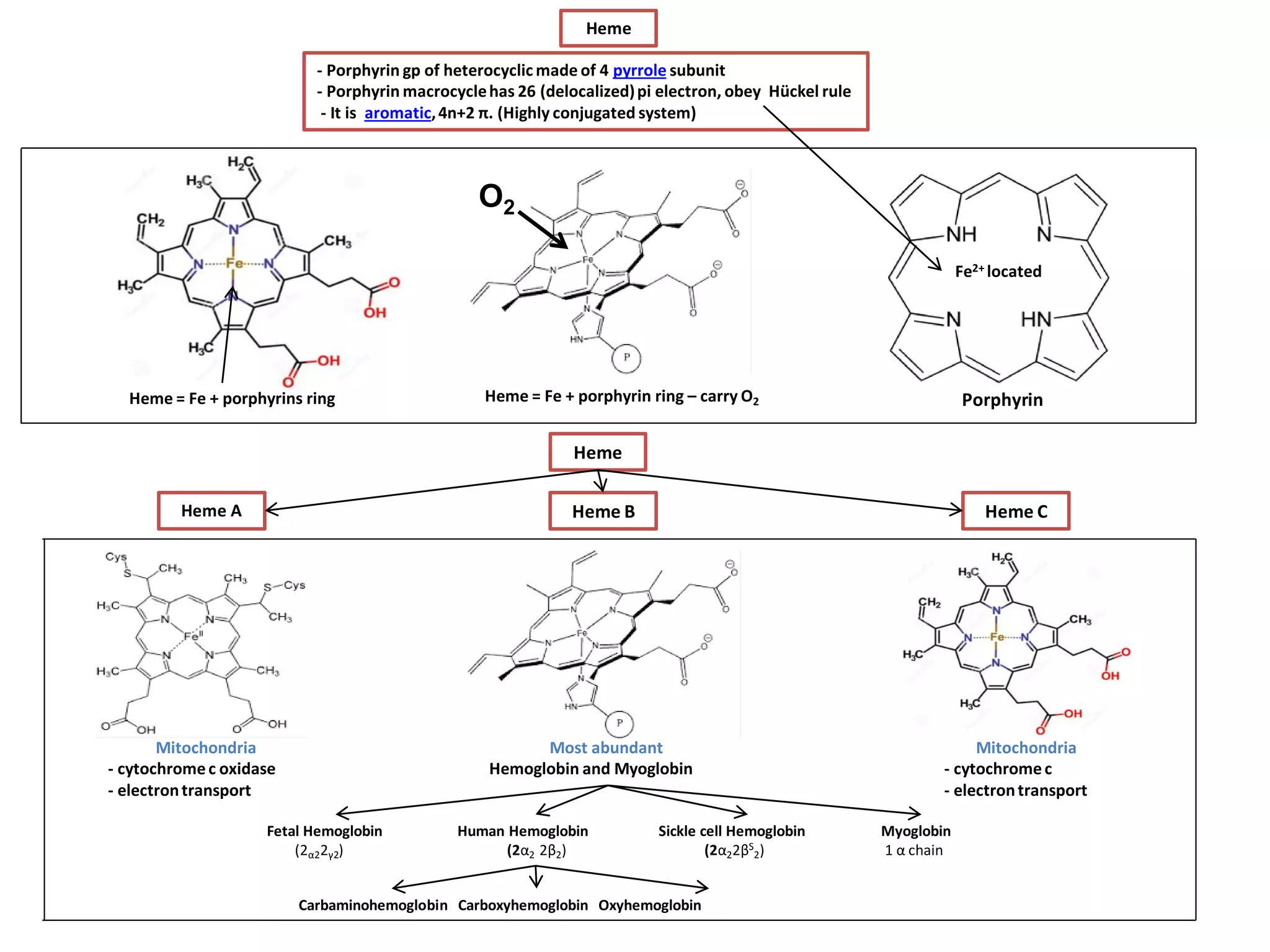 IB Chemistry on ICT, 3D software, Chimera, Jmol, Swiss PDB, Pymol for ...
