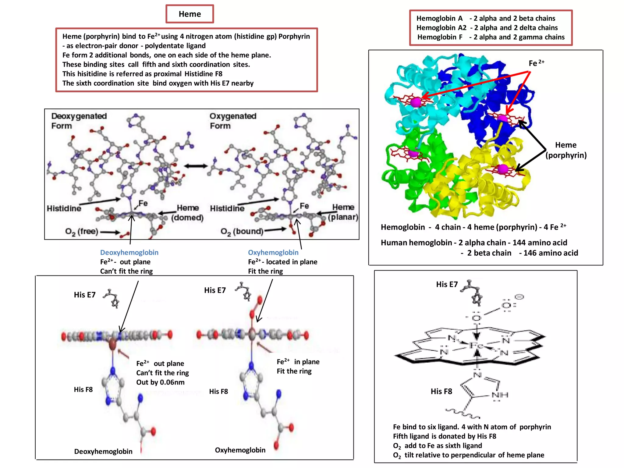 IB Chemistry on ICT, 3D software, Chimera, Jmol, Swiss PDB, Pymol for ...