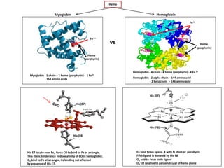 IB Chemistry on ICT, 3D software, Chimera, Jmol, Swiss PDB, Pymol for ...