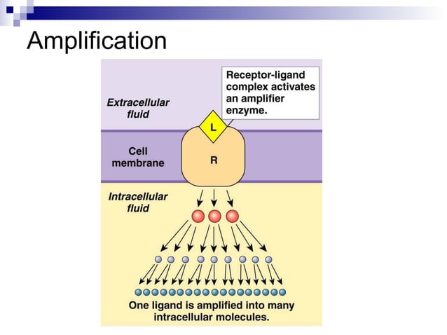 Bioc hemistry_ Regulation and integration of Metabolism | PPT