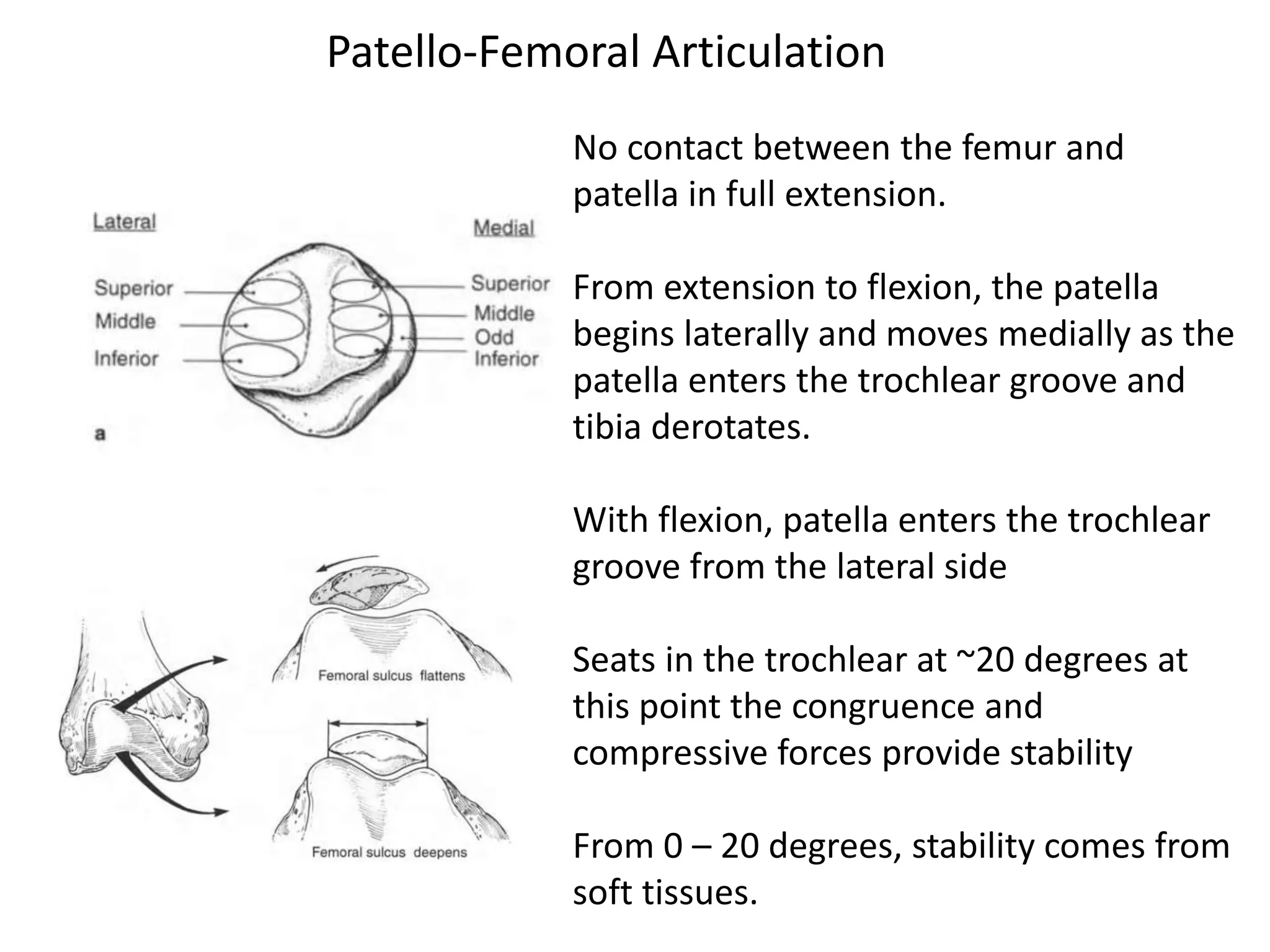 Patella dislocations | PPTX