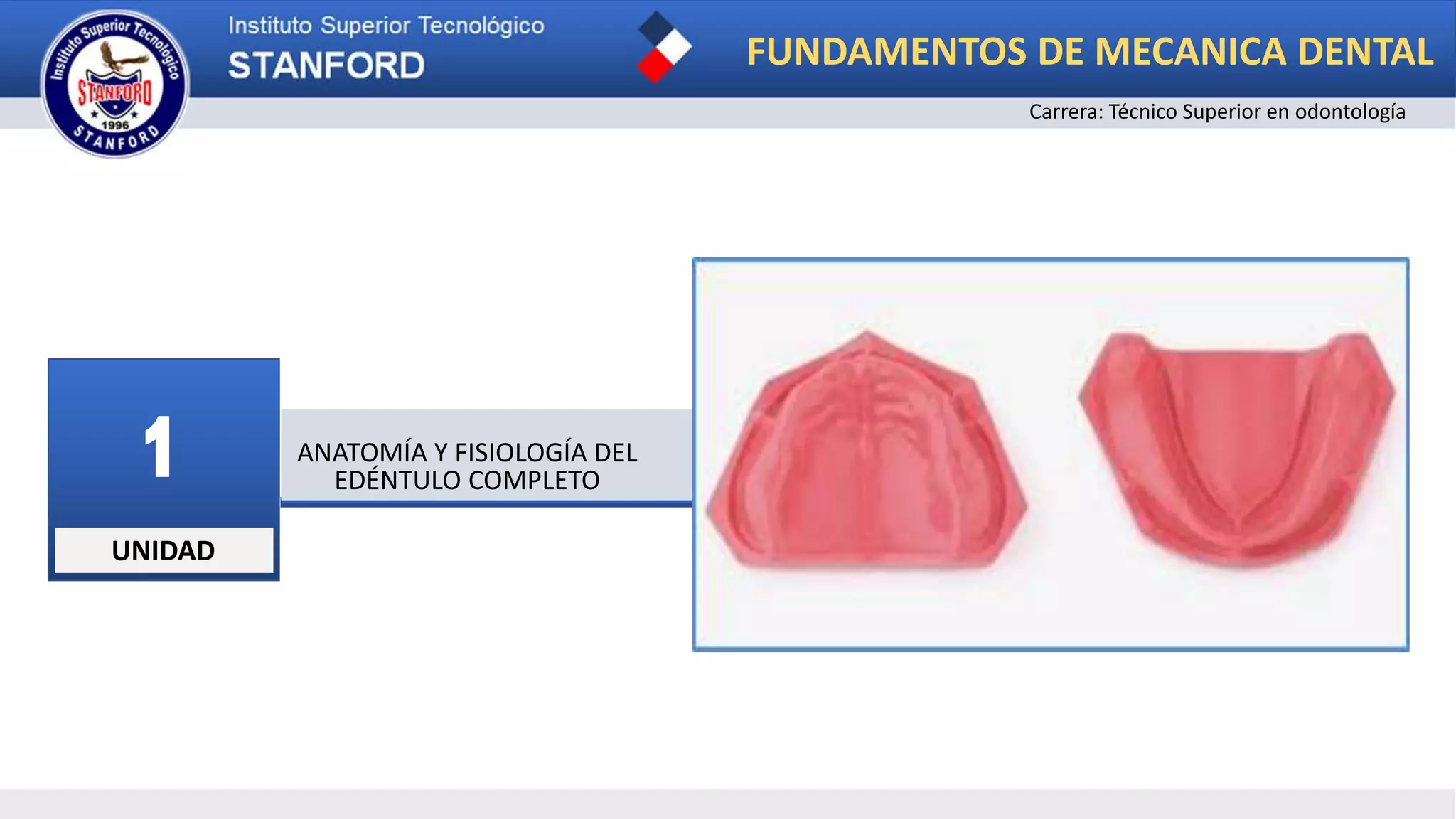 ANATOMÍA Y FISIOLOGÍA DEL EDÉNTULO COMPLETO | PPTX