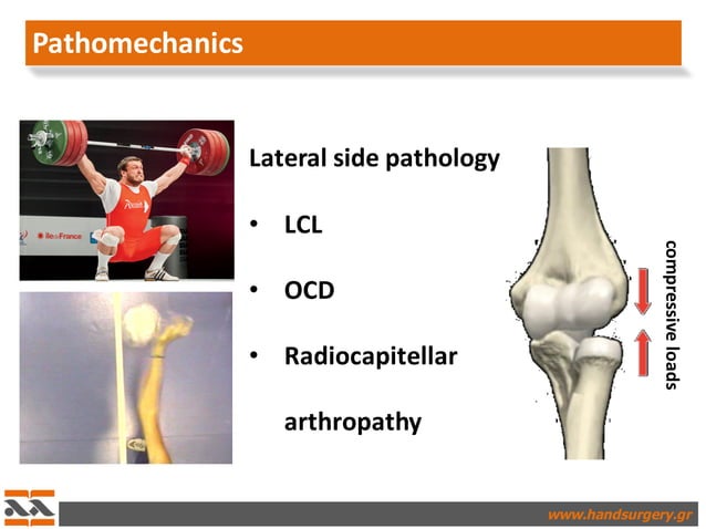Elbow sports injuries | PDF