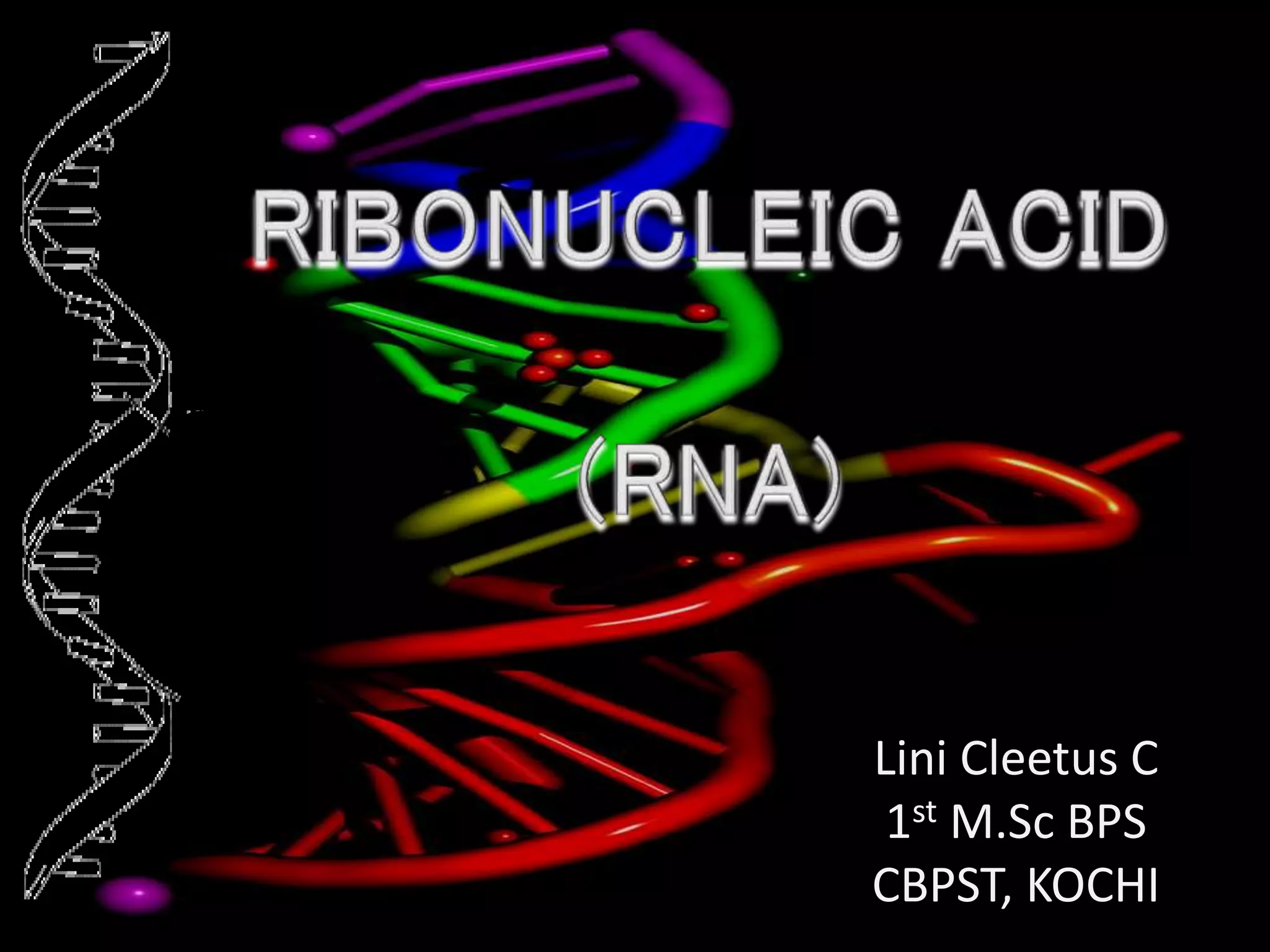 Ribonucleic acid | PPTX