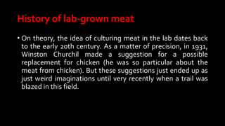 Lab grown meat | PDF
