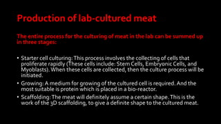 Lab grown meat | PDF