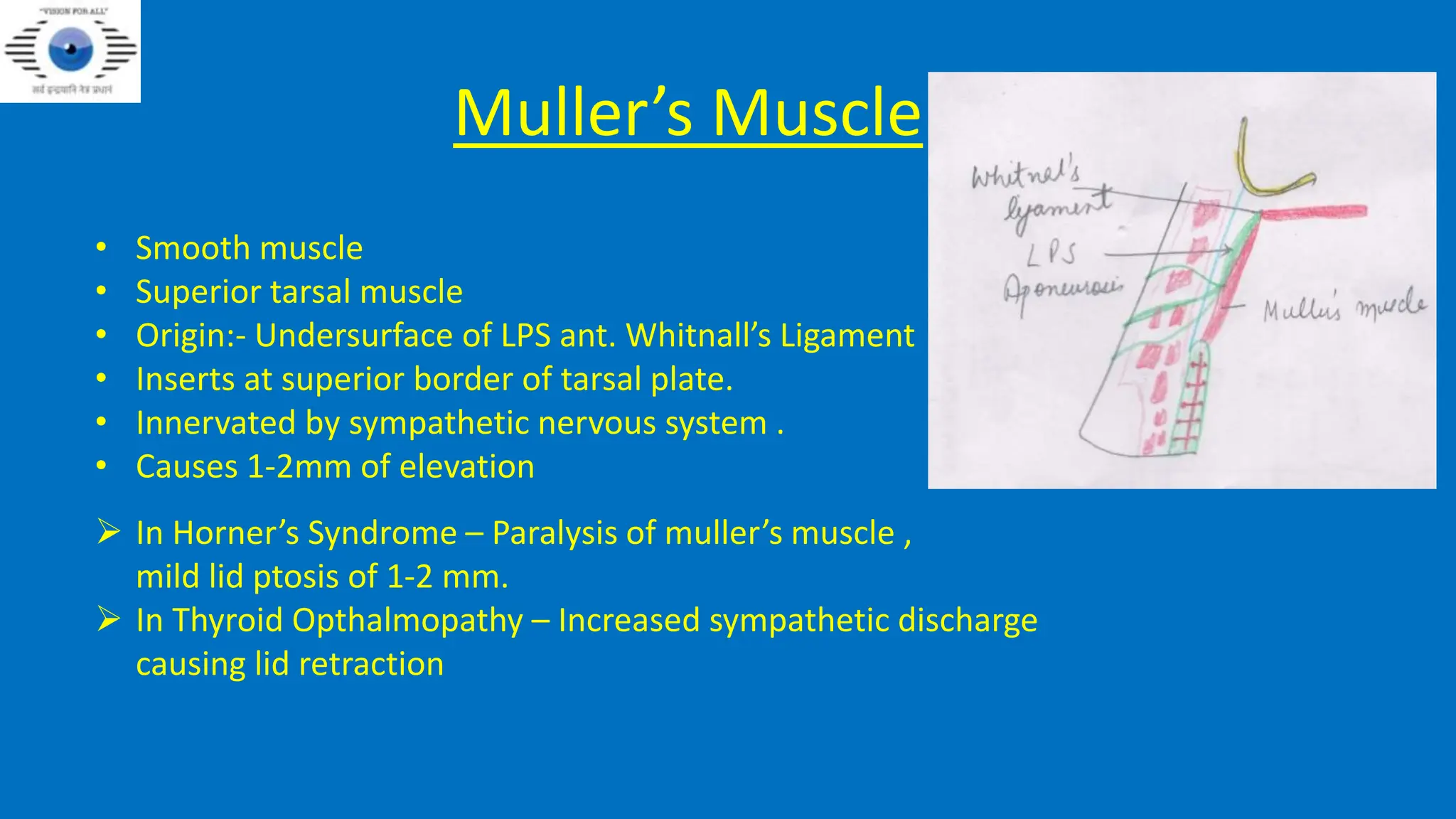 EYELID_ANATOMY presentation dhir bwn.pptx