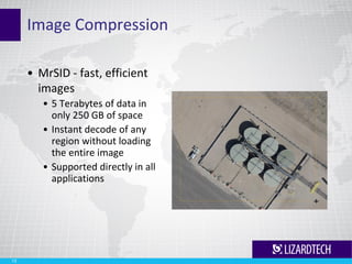 Hays from sensor to solution | PPT