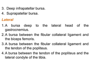 this is in simple language about the knee complex. | PDF