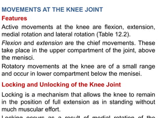 this is in simple language about the knee complex. | PDF