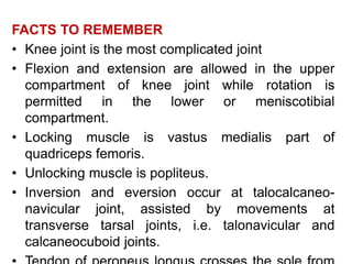 this is in simple language about the knee complex. | PDF