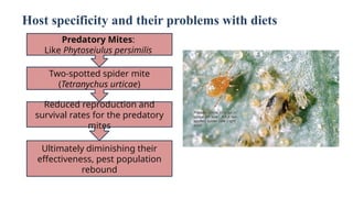 Effect of nutrition in Entomophagous Insectson | PPTX
