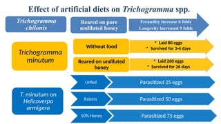 Effect of nutrition in Entomophagous Insectson | PPTX