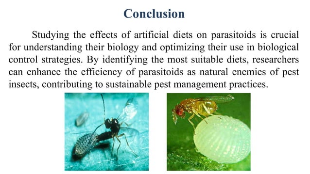 Effect of nutrition in Entomophagous Insectson | PPTX
