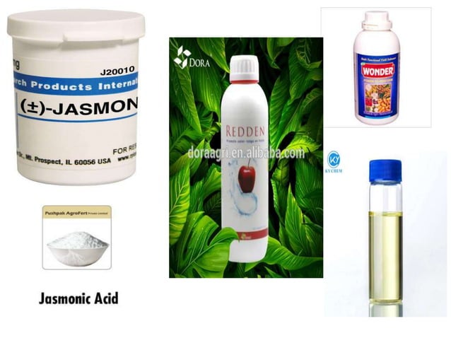 Role of Jasmonic acid in plant development and defense responses | PPTX