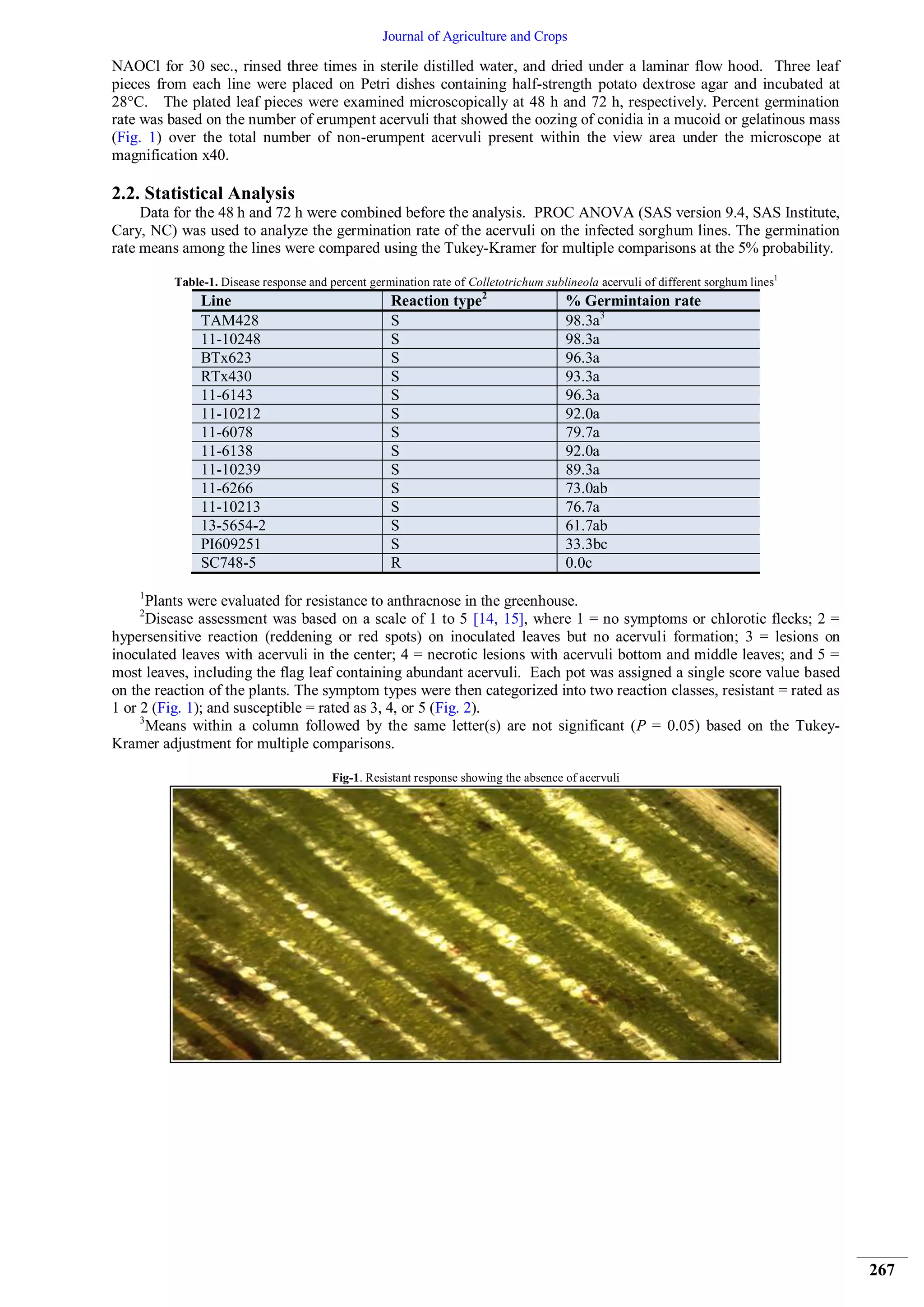 Response to Anthracnose and Germination Rate of Colletotrichum ...