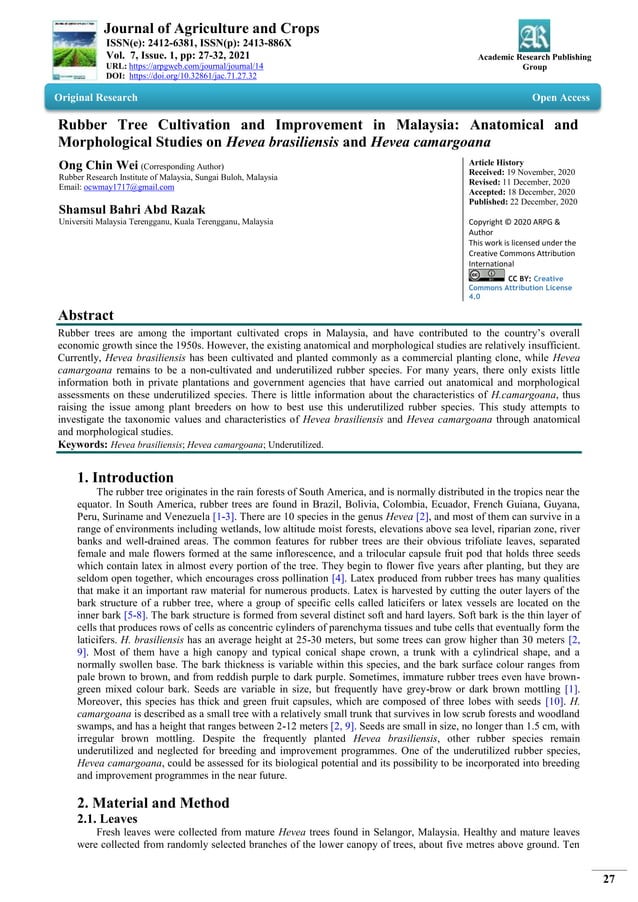 Rubber Tree Cultivation and Improvement in Malaysia: Anatomical and ...