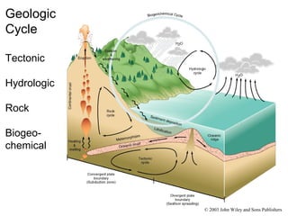 Jace Hargis Corp Env Chemistry | PPT
