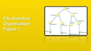 Disk and file operation | PPTX