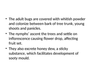 Pests of Jack fruit, Atrocarpus species, insect pest | PPTX