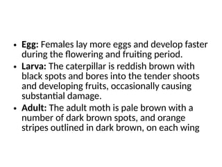 Pests of Jack fruit, Atrocarpus species, insect pest | PPTX