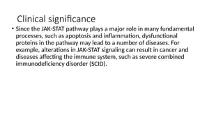 Jack-STAT signalling pathway in bio.pptx